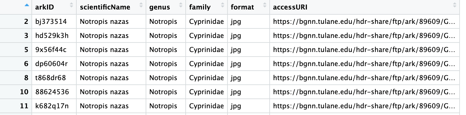 Imageomics Snakemake Workshop: Workflow Filename Plan